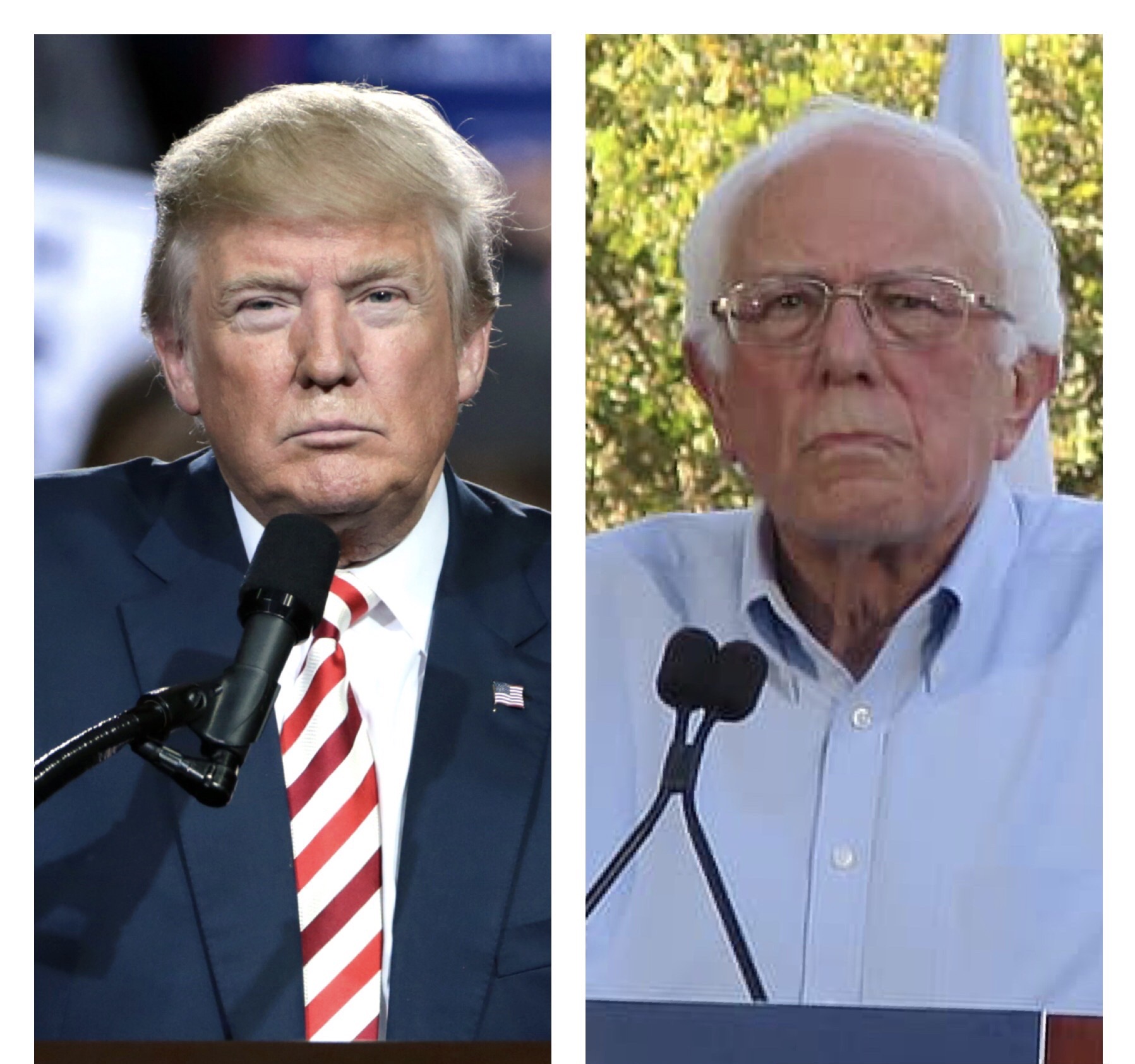 Trump vs Bernie, Differences in Policy